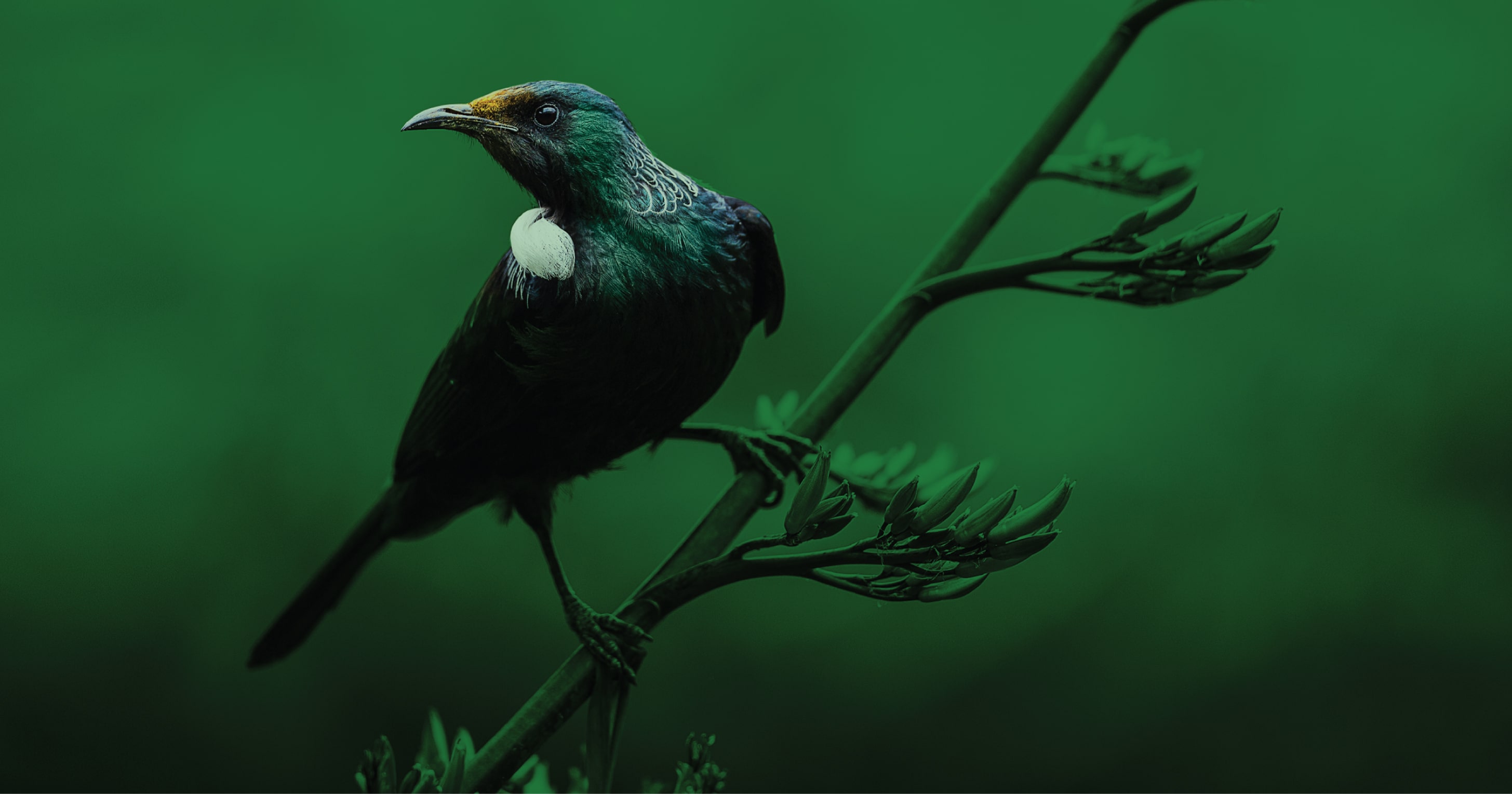 Yoogo Fleet | Yoogo Fleet | Electric Vehicle Leasing & Fleet Management